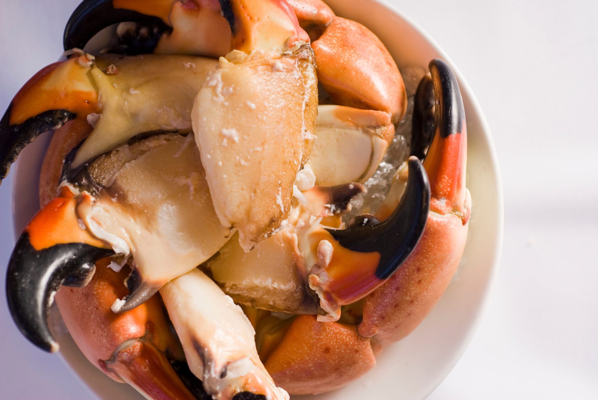 Where To Find the Best Stone Crab In South Florida
